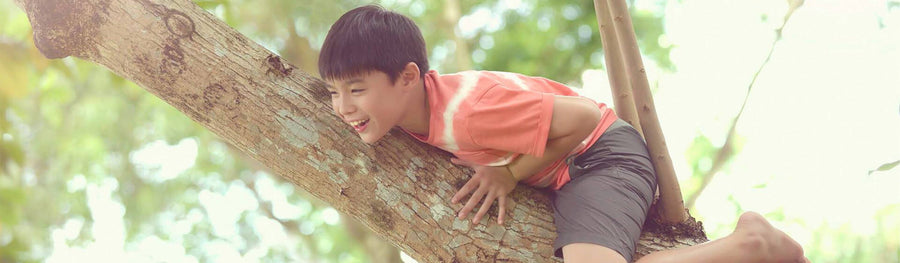 The Fun Farm at Sta. Elena: A Magical Outdoor Playground for All Ages ...