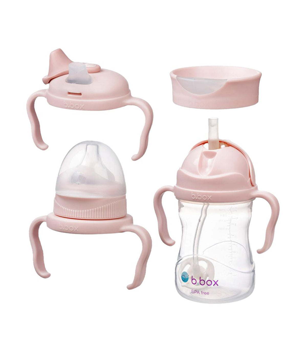 b.box® Transition Pack | Rustan's