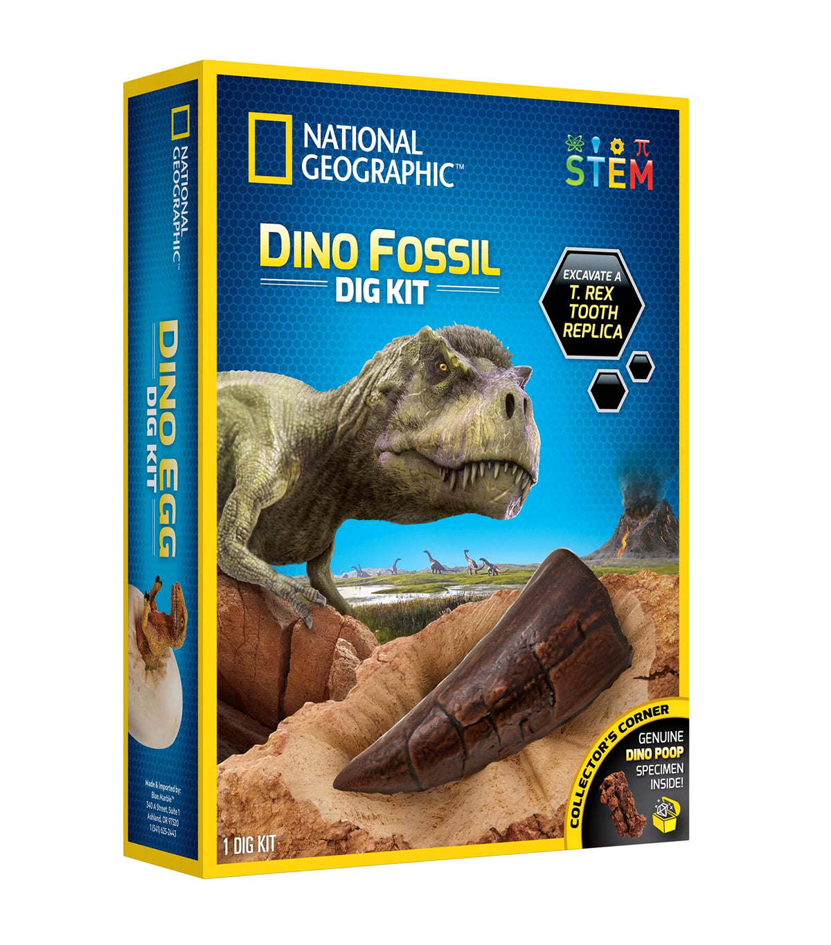 National Geographic Dino Fossil Dig Kit | Rustan's