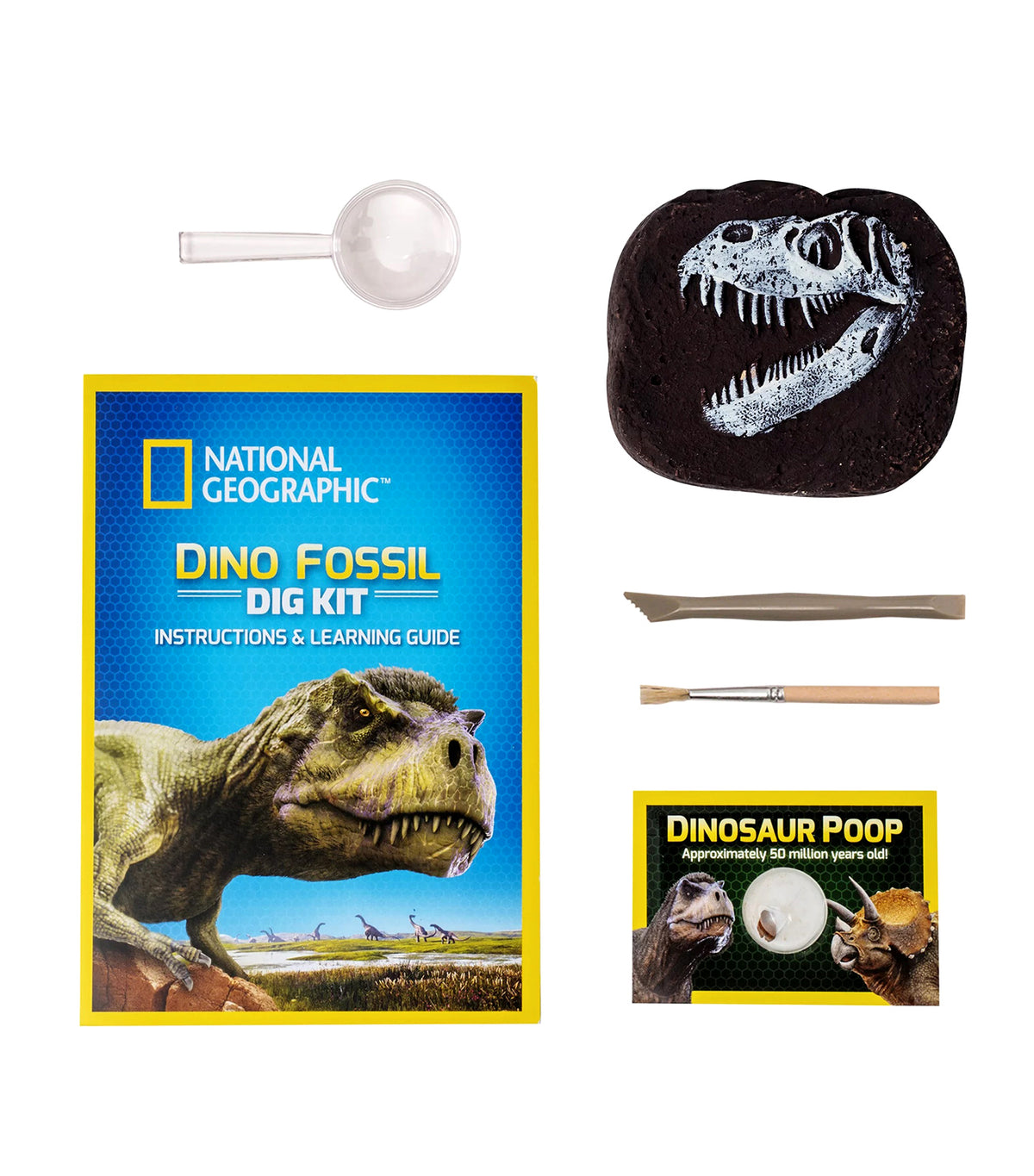 National Geographic Dino Fossil Dig Kit | Rustan's