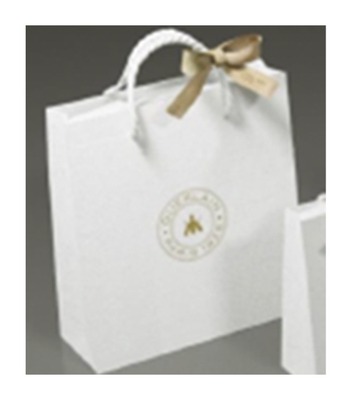 Guerlain Complimentary Shopping Bag | Rustan's
